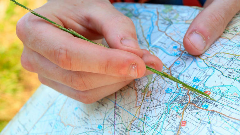 How to plan a route using your map: the basics of map reading ...