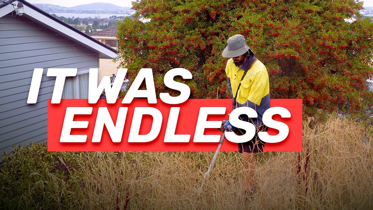 A Fundraiser Knocked on my Door... We ended up Restoring his Yard!