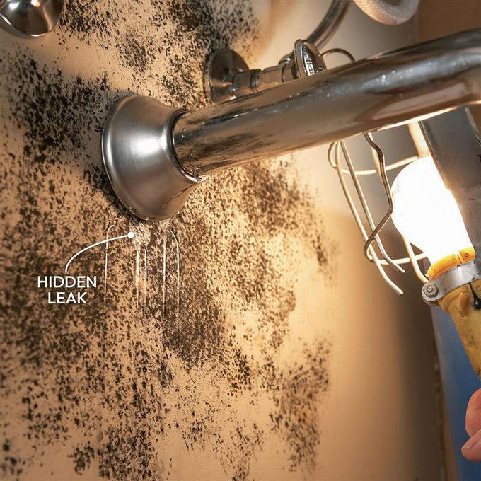 10 Tips For Removing Mold and Mildew Before It Becomes a Problem