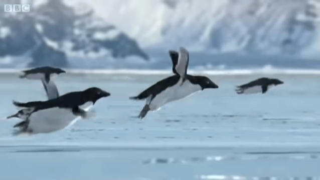 How April Fools’ Day is celebrated around the world