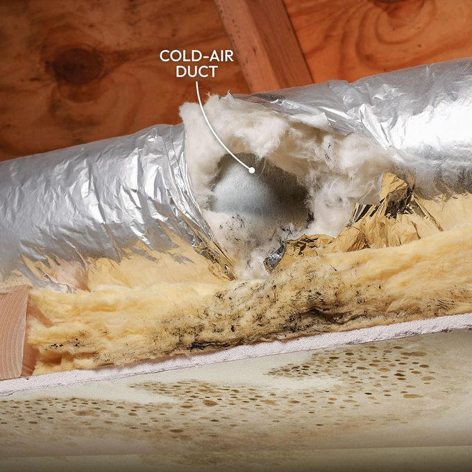 10 Tips For Removing Mold and Mildew Before It Becomes a Problem