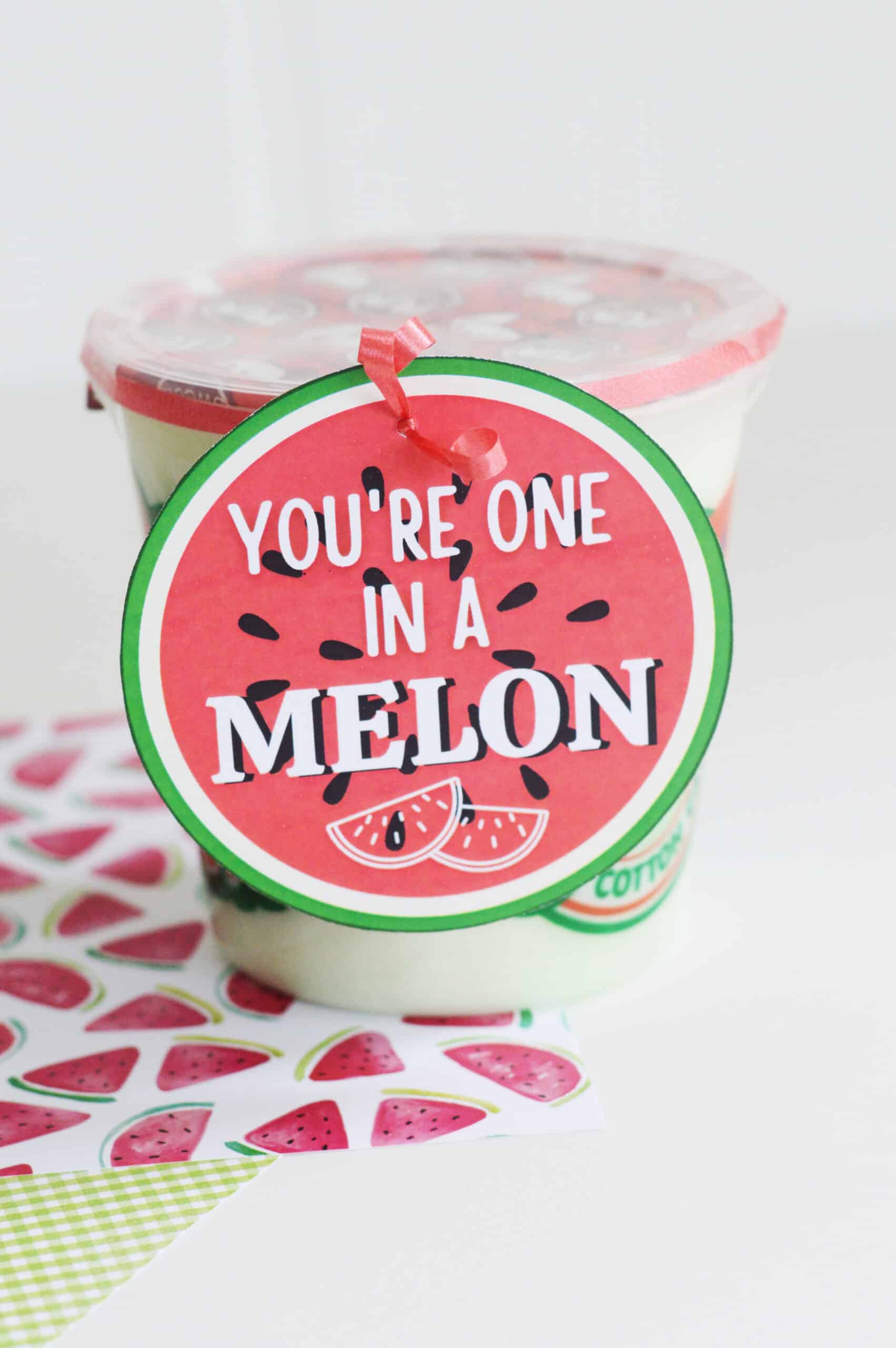 DIY You're One In A Melon Gift