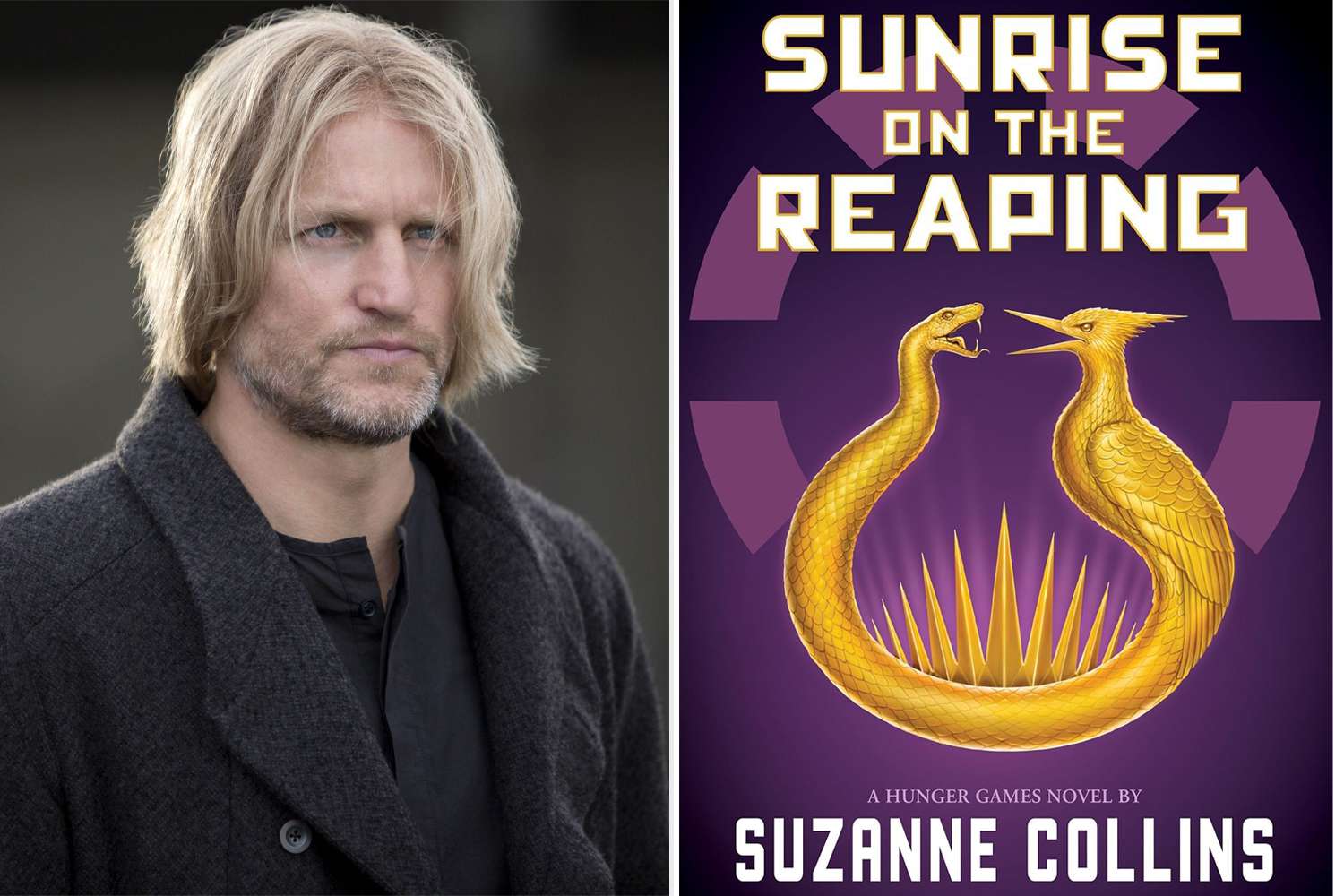 “Hunger Games” Prequel Movie “Sunrise on the Reaping” Debuts Exciting ...