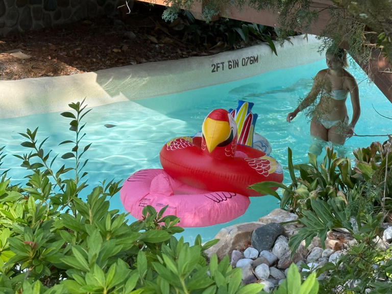 PHOTOS: Disney's Blizzard Beach Celebrates 30th Anniversary with Dance ...