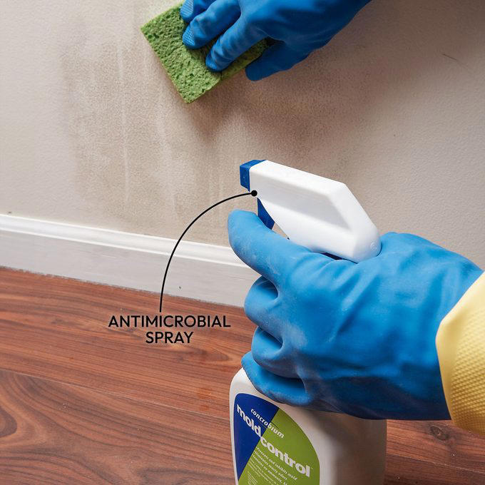 10 Tips For Removing Mold and Mildew Before It Becomes a Problem