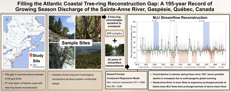 Tree rings from Canada's Gaspésie mountains reveal effects of global ...