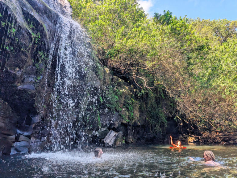Kohala Waterfalls Hiking - Guiding hikes with Hawaii Forest & Trail on ...