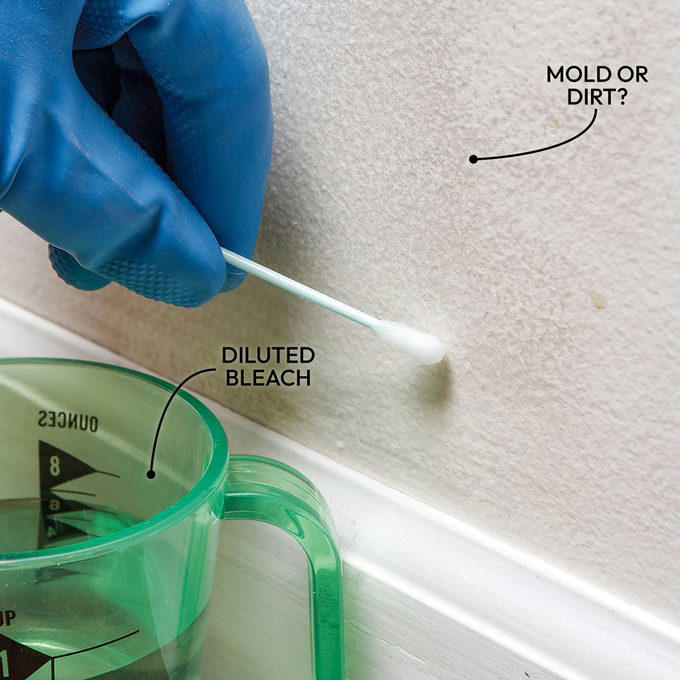 10 Tips For Removing Mold and Mildew Before It Becomes a Problem