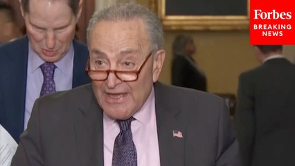 Senate Democratic Leaders Hold Press Briefing As Cory Booker's Senate ...