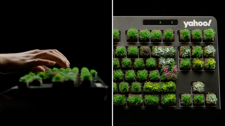 April Fools' Day 2025 Pranks: Grass Keyboard, Catnip Car Seats, 5-Year ...