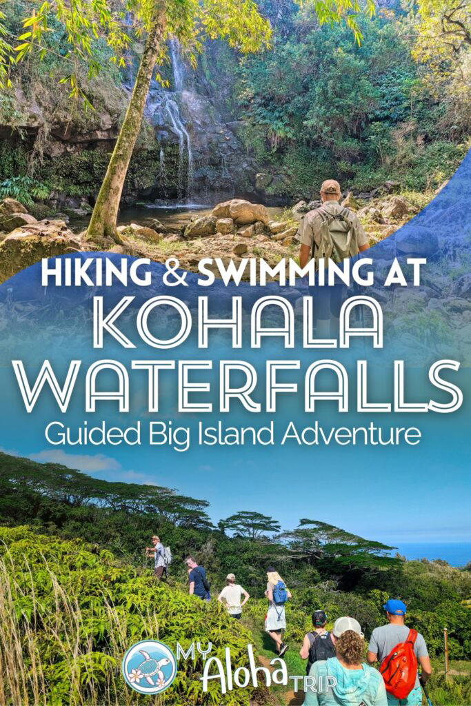 Kohala Waterfalls Hiking - Guiding hikes with Hawaii Forest & Trail on ...