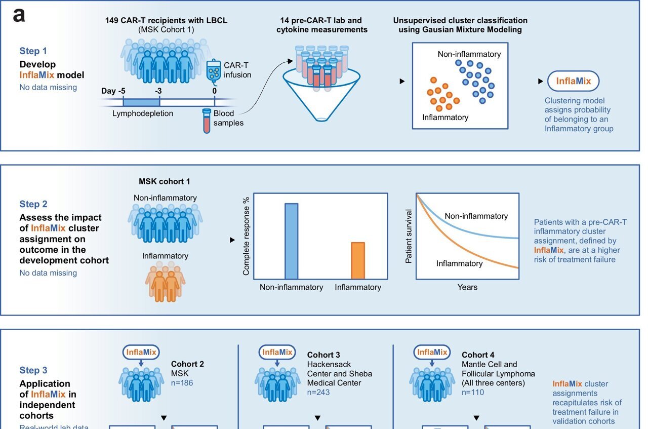 Machine learning helps predict immunotherapy response in lymphoma patients
