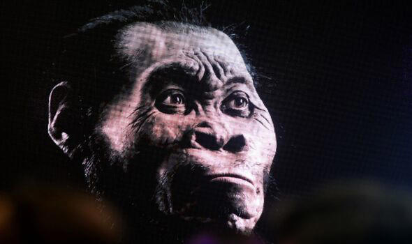 Archaeologists make incredible discovery from 250,000 years ago that ...