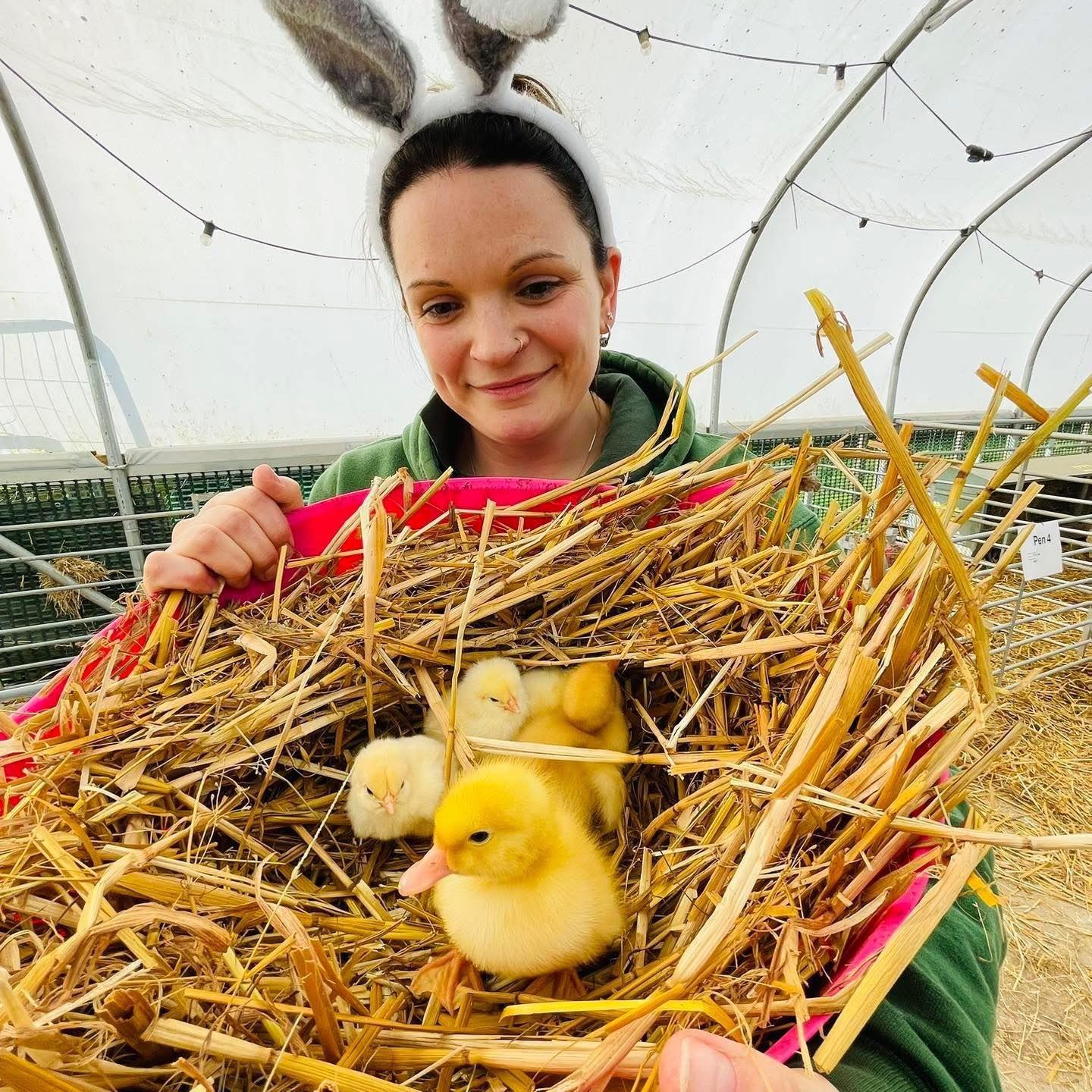 Popular farm park's Easter Egg-stravaganza to begin this weekend