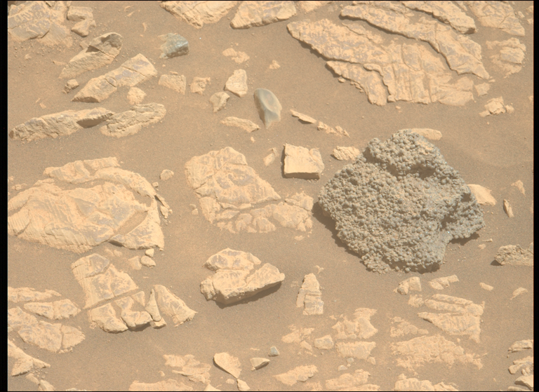 Mars rovers make separate finds pointing to past life: What ...