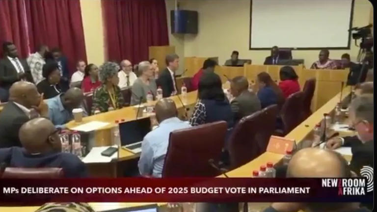 ANC backs ActionSA’s bid to scrap VAT hike in 2025 Budget showdown
