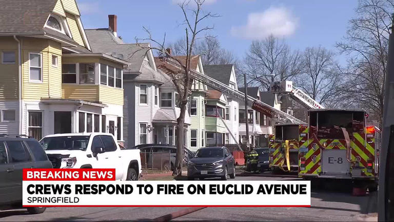 8 people displaced following Springfield fire