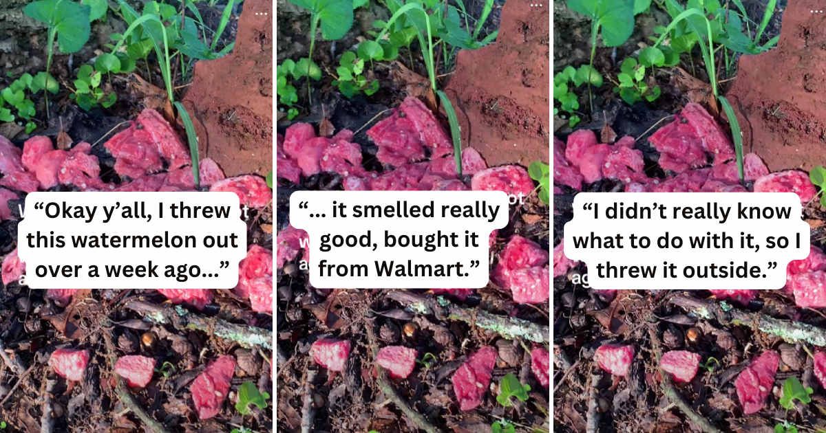 Walmart Shopper Buys Watermelon That ‘Smelled Really Good’ — Then He ...