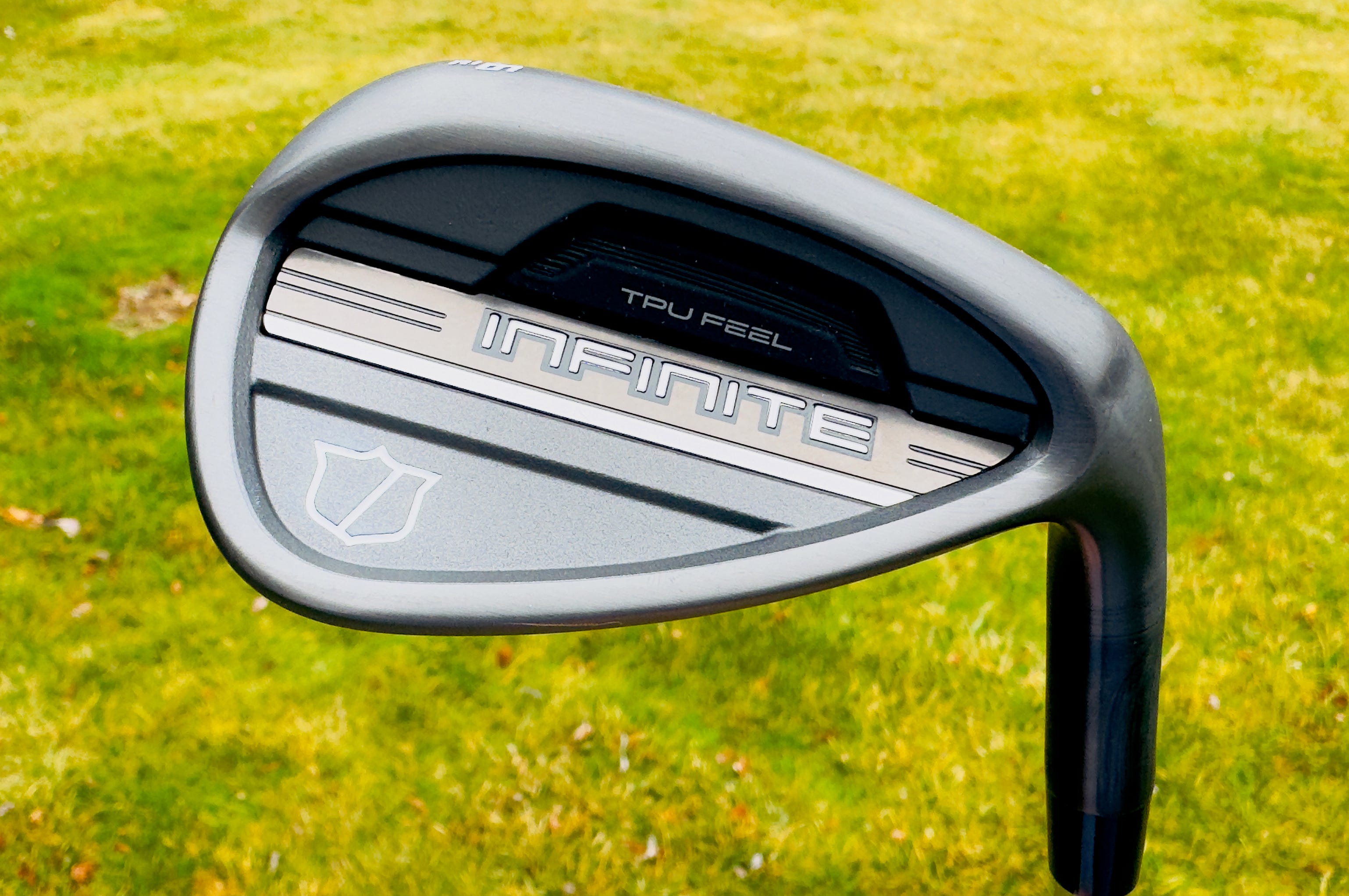 Simple spin: Everything you need to know about Wilson Infinite wedges