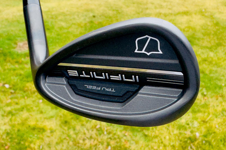 Simple spin: Everything you need to know about Wilson Infinite wedges