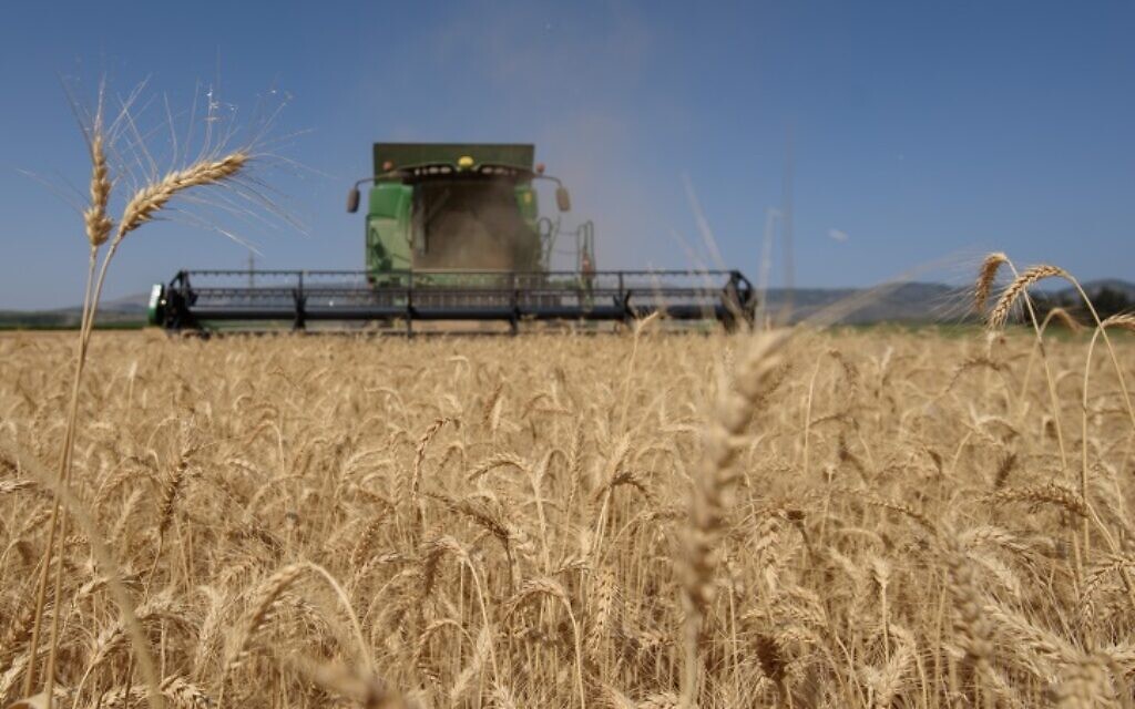 Israel nixes all US import tariffs, day before Trump set to levy duties ...