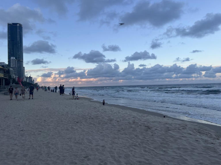 Scientists and veterinarians help wildlife impacted by ex-tropical ...