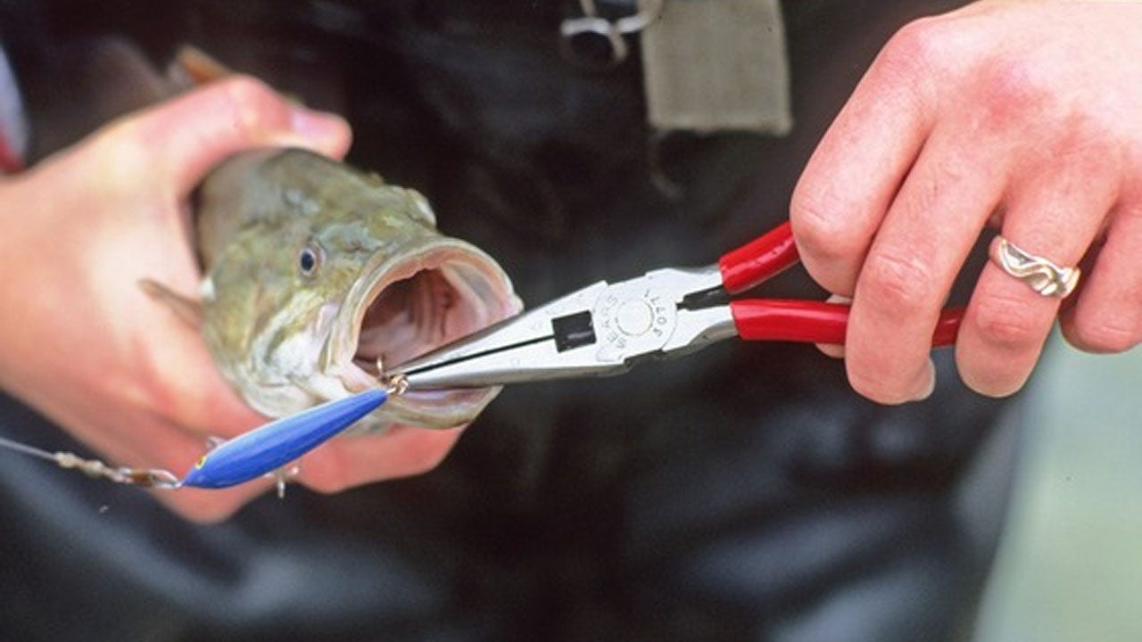 New Wisconsin fishing license year begins Tuesday; what to know