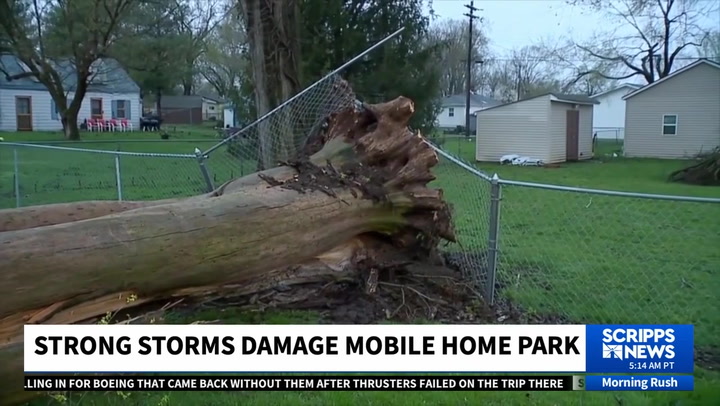 Hamilton Storm Aftermath: Assessing Damage and Recovery Efforts