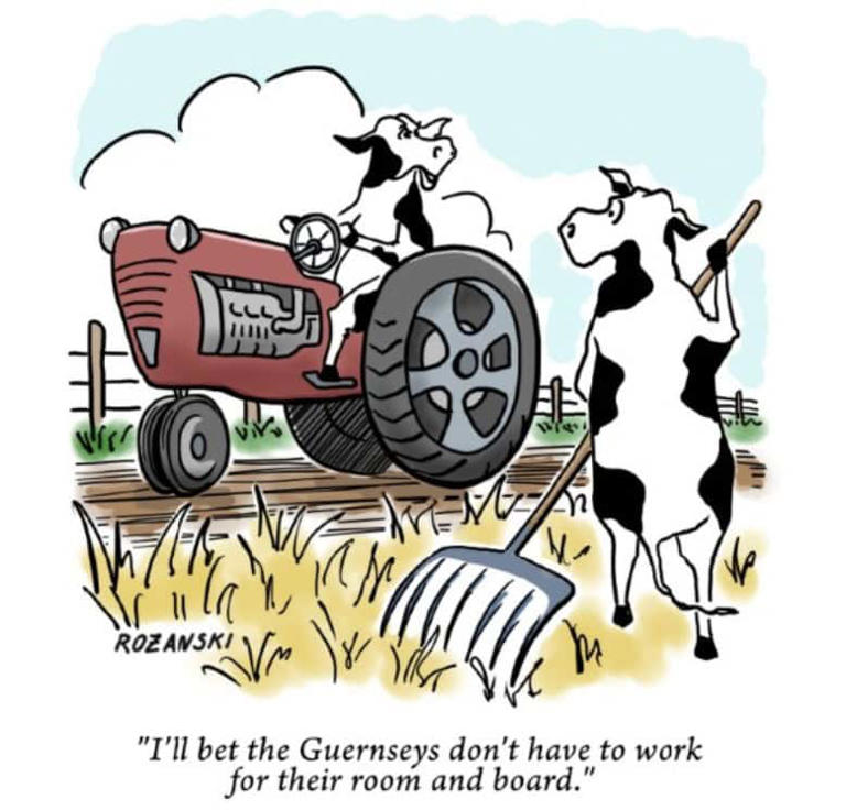 35 Relatable Single-Panel Comics Musing About Everyday Problems From ...