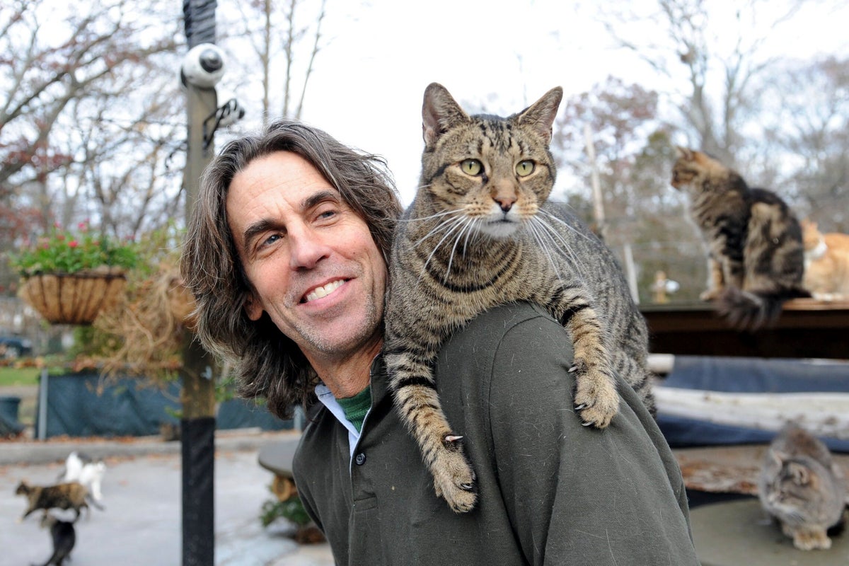 A fire at a New York cat sanctuary kills its founder and dozens of cats