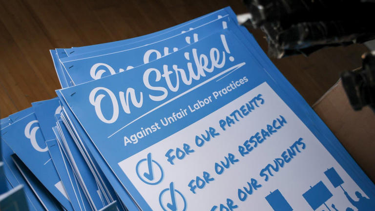 UCLA, UC Irvine among campuses where 20,000 UC workers are staging ...