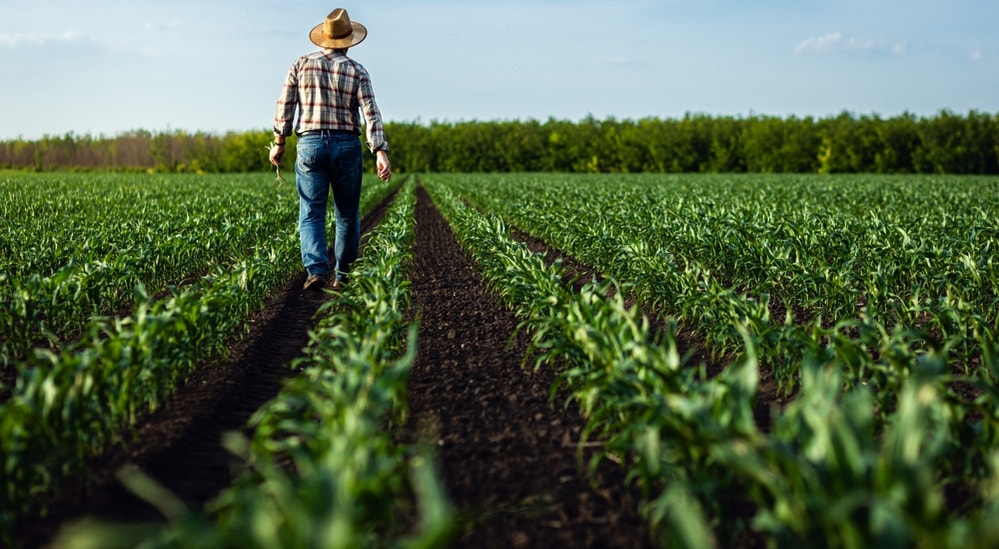 Warren Buffett's Son Pays Rent to His Billionaire Dad to Farm 1,906 ...