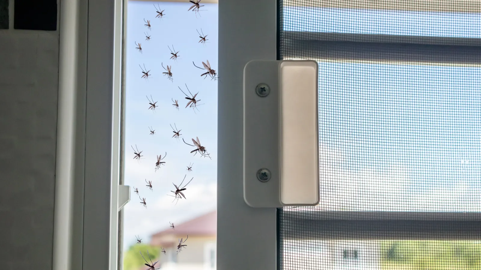 18 Pest-Proof Hacks to Keep Bugs Out All Summer