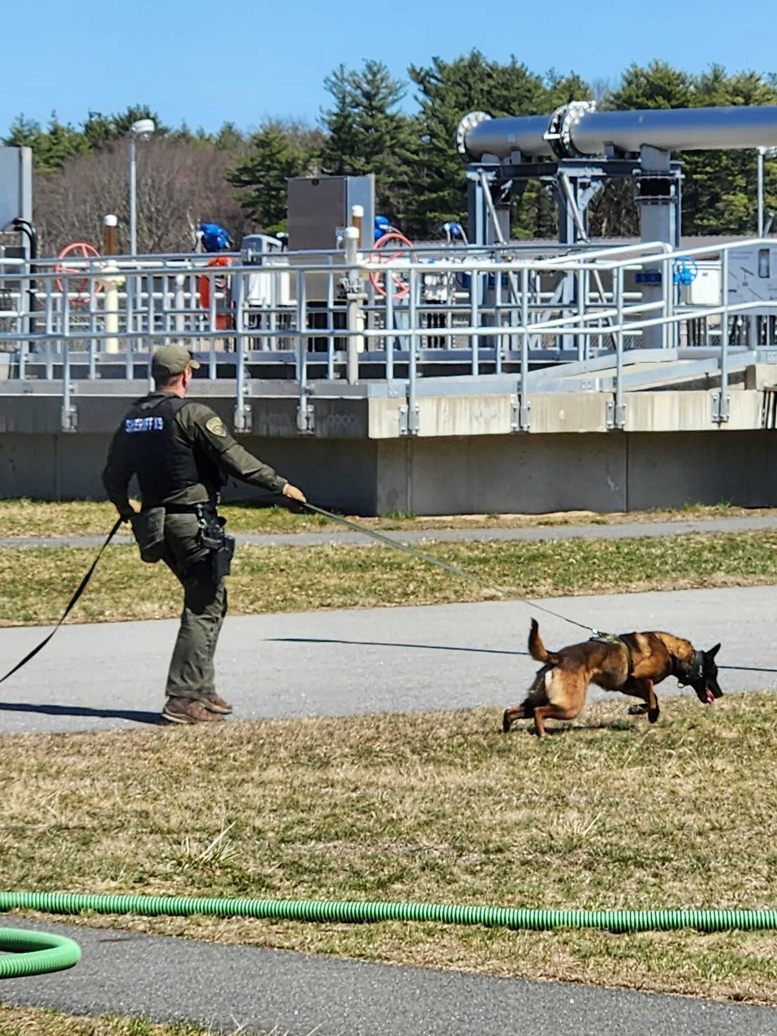 Search for fourth suspect suspended in Exeter after report of shots fired