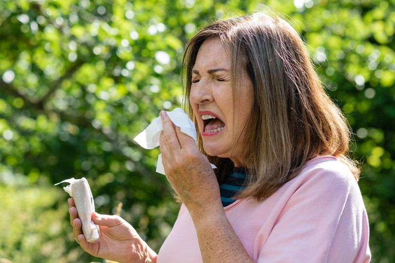 Hay fever medications could be dangerous for people with heart issues ...