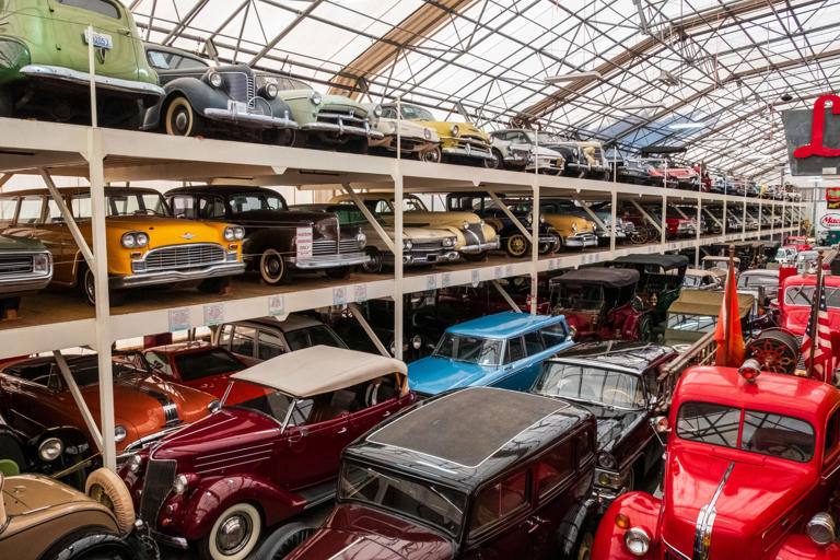 Classics, Chaos, and Curiosities: Inside LeMay Collection at Marymount