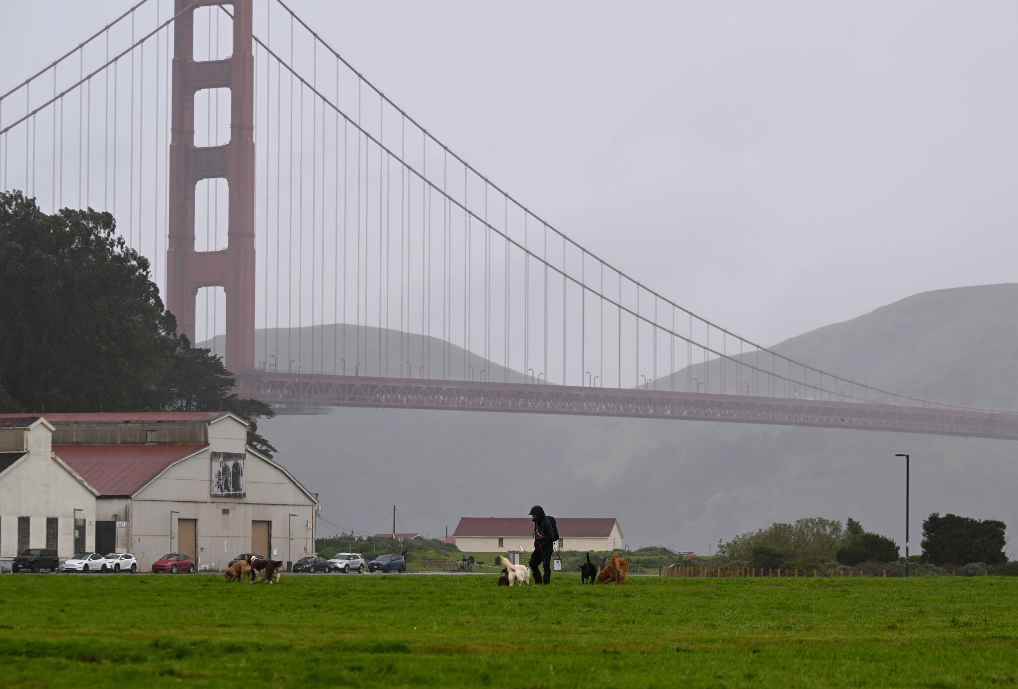 San Francisco sex worker found guilty of killing man who wanted refund