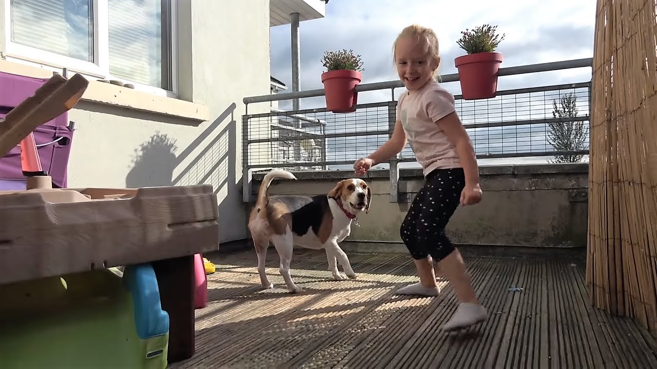 Dog and girl attempt bubbles for the first time
