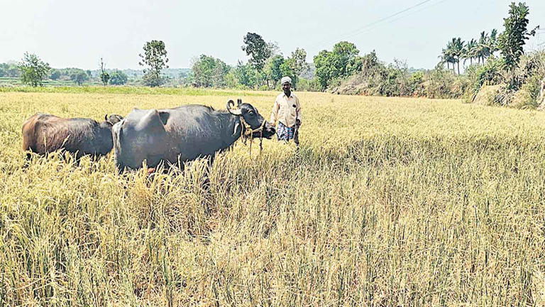 10 biggest high school football commitments in March