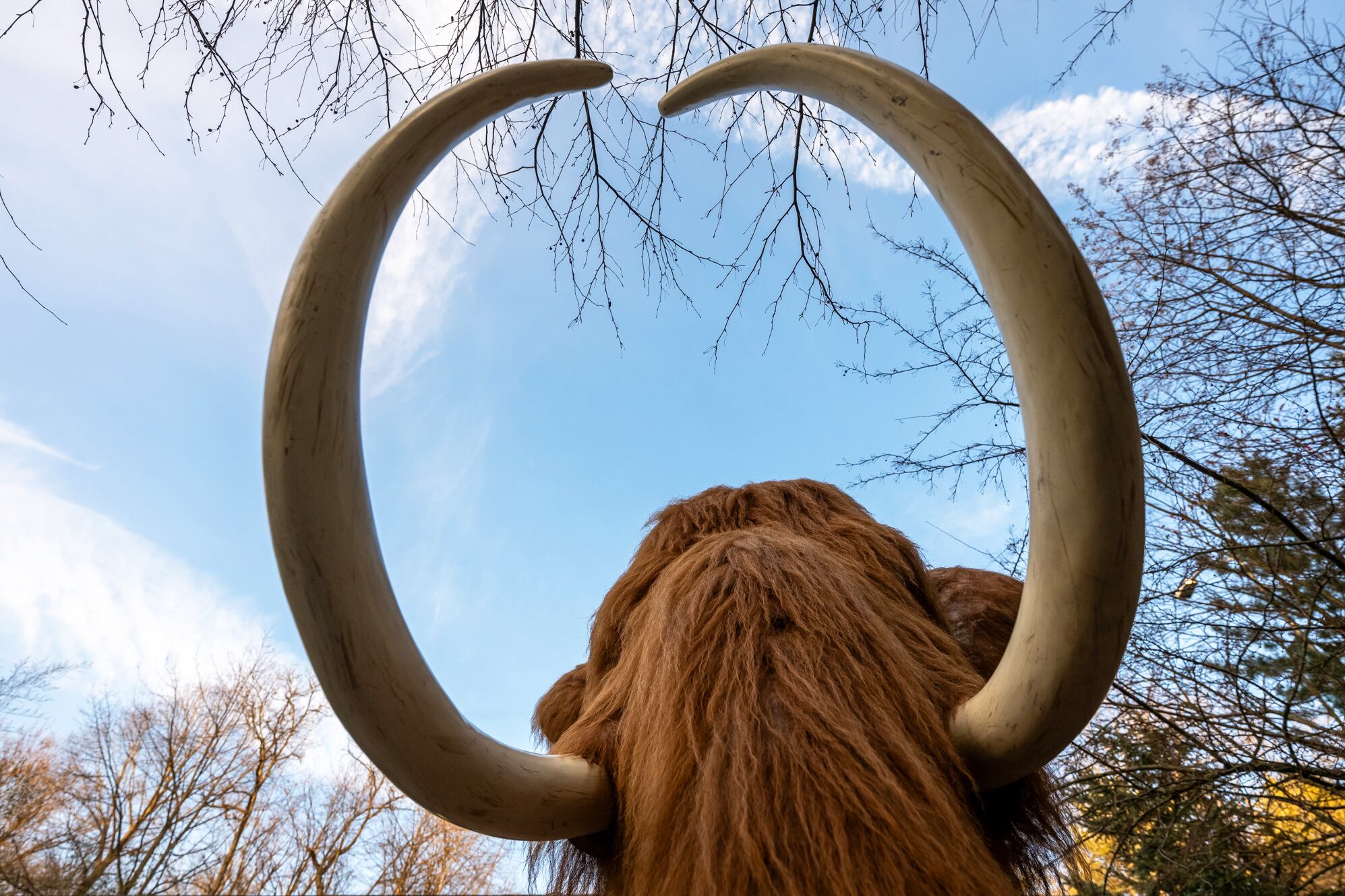 Temporary Pittsburgh Zoo exhibit takes guests to the Ice Age, brings ...