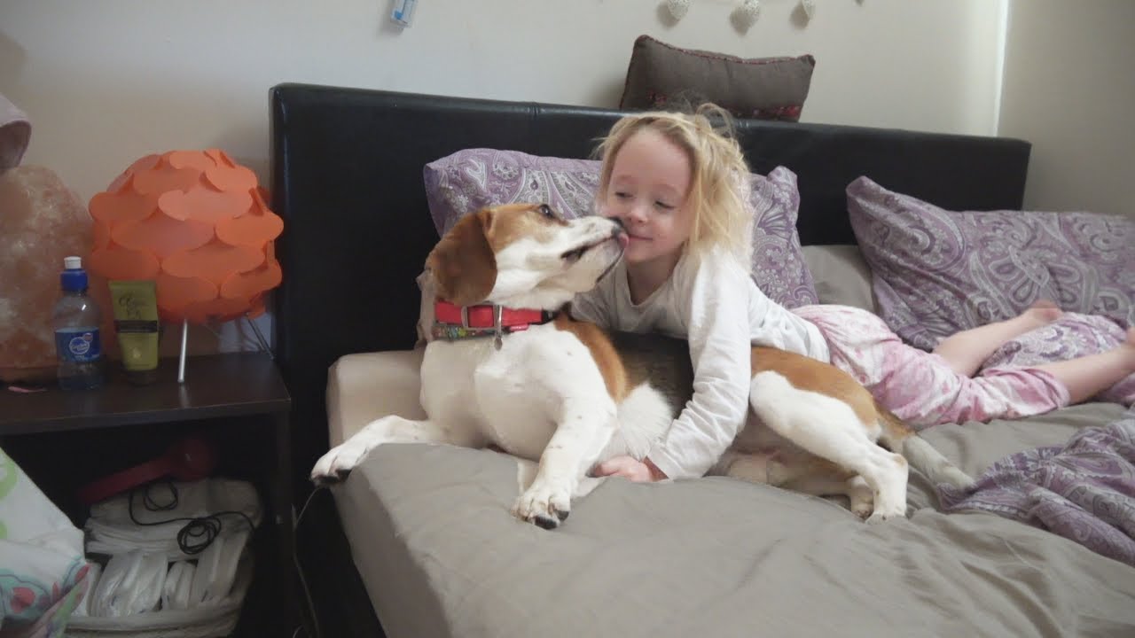 Bring me my shoes in this funny silent movie with our beagle