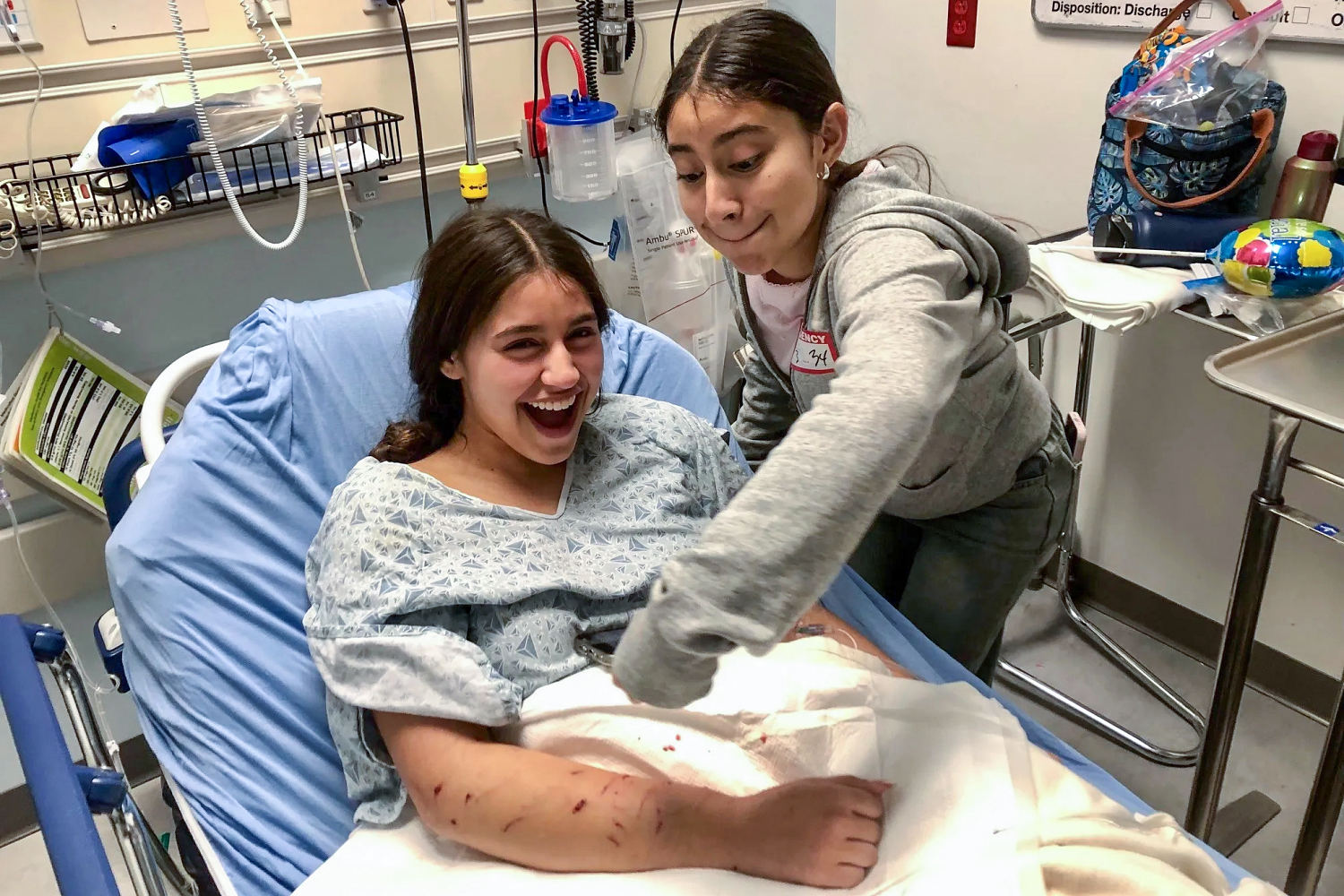 'Please don’t kill me': 15-year-old girl attacked by sea lion in ...