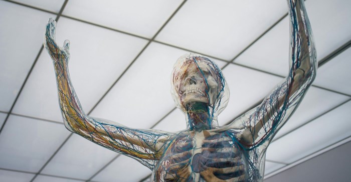 Tumi Rabanye | How advertising strategy acts like a brand's nervous system