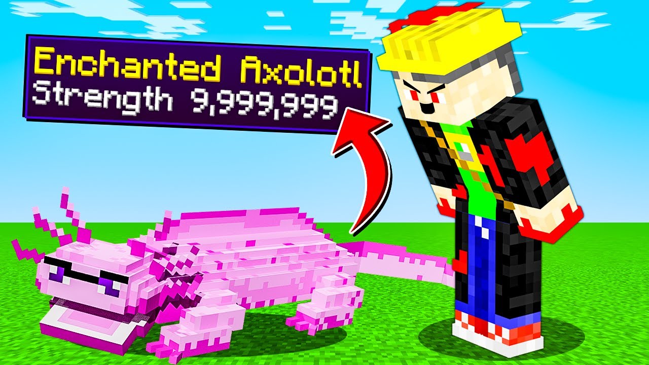 Minecraft But You Can Enchant Axolotls—Magical Amphibians
