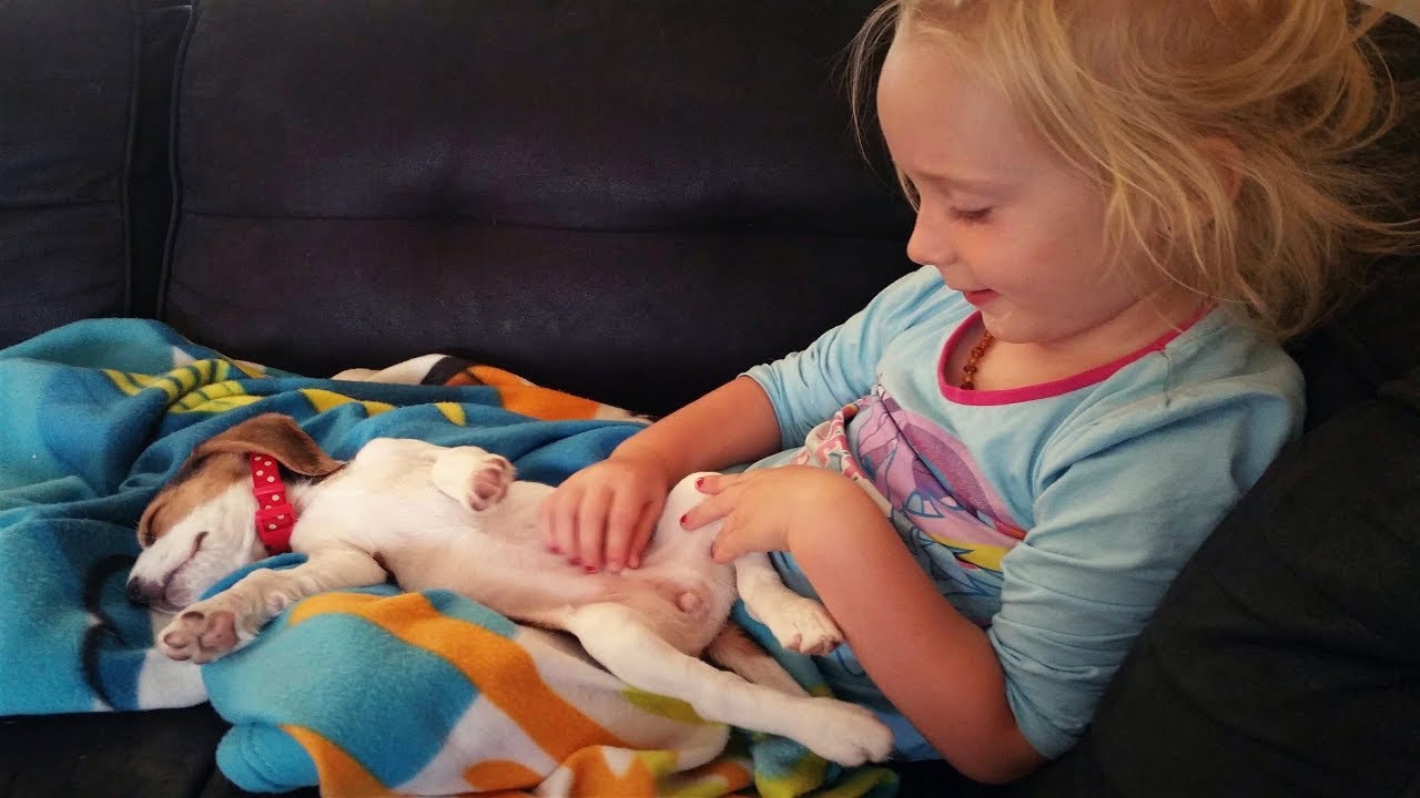 Heartbreaking puppy cries for attention from his little girl