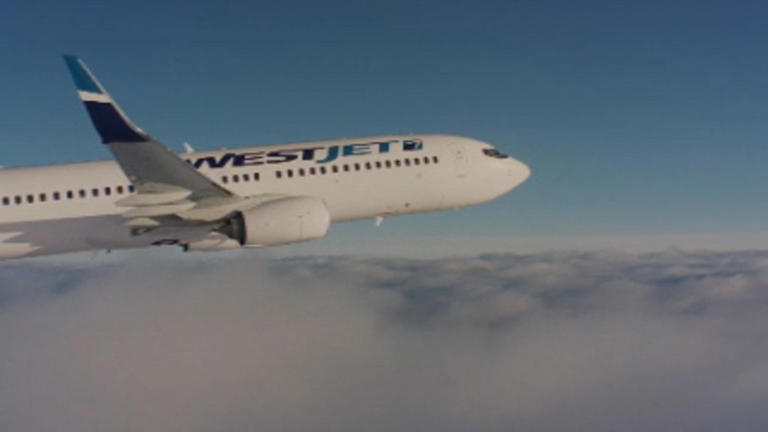 Low travel interest to the U.S. leads to WestJet suspending flights ...