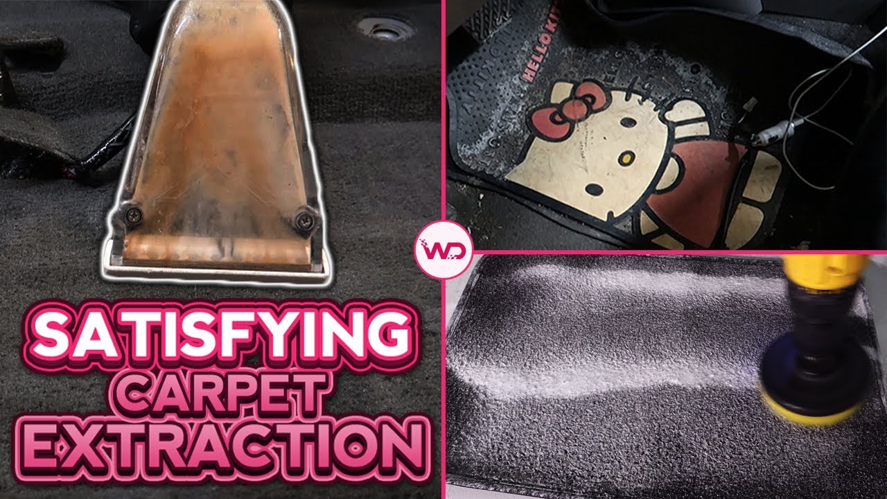 Sorority Girl’s Disaster Car Gets a Satisfying Clean