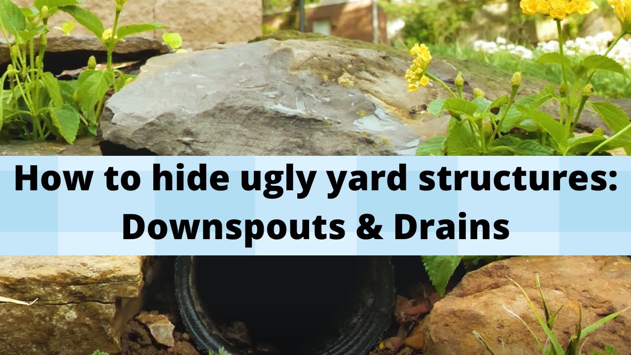 How to hide ugly yard structures; Downspouts and Drains