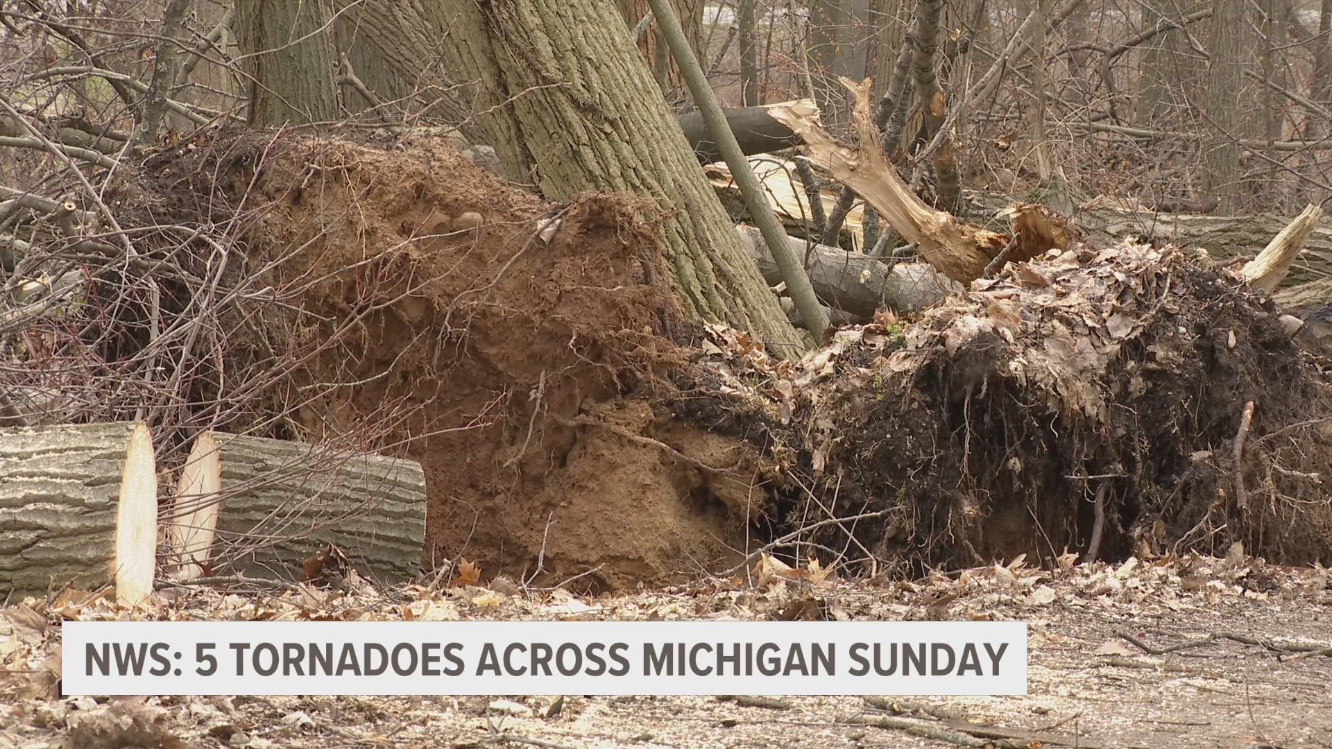 5 confirmed tornadoes were on the ground in Michigan during weekend ...