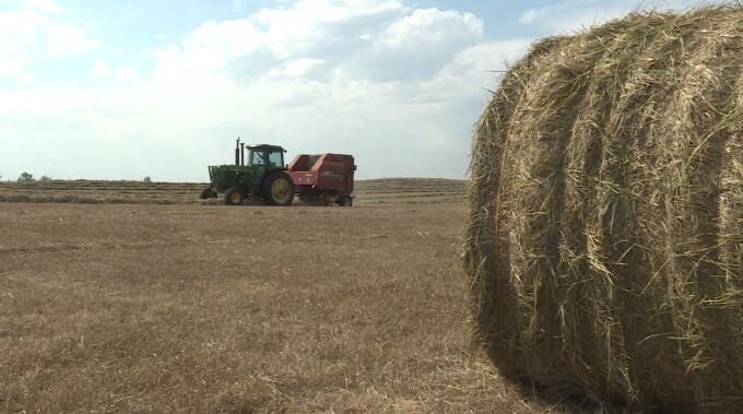 N.C. Department of Agriculture announces crop loss program for farmers